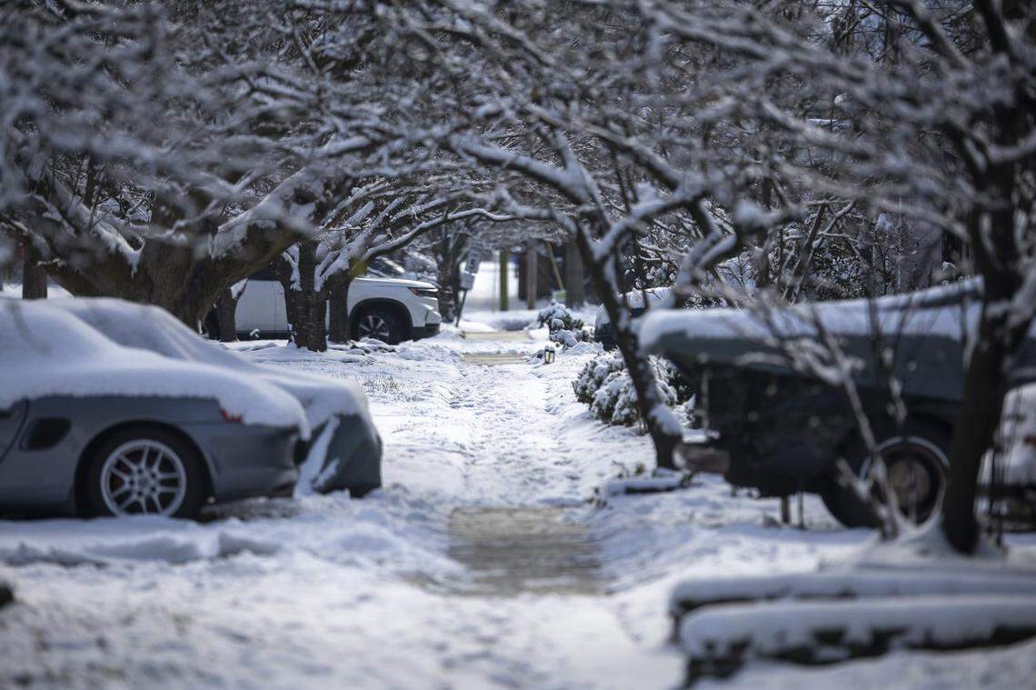 Lexington, other parts of KY inch toward record December snow ...