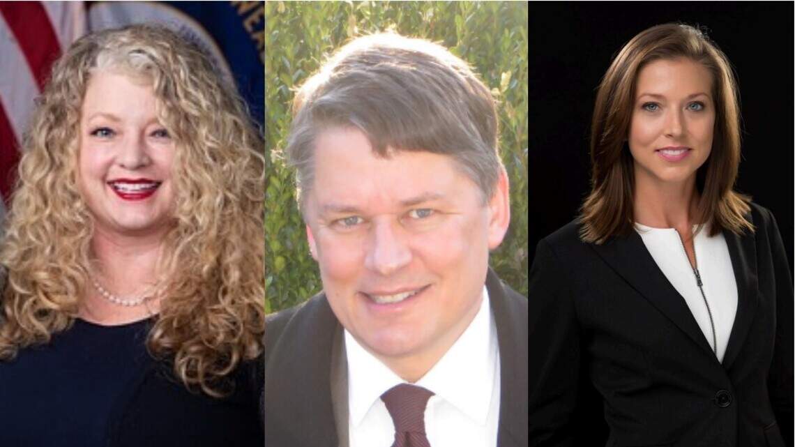 Three attorneys run to be top prosecutor in 14th Judicial Circuit ...
