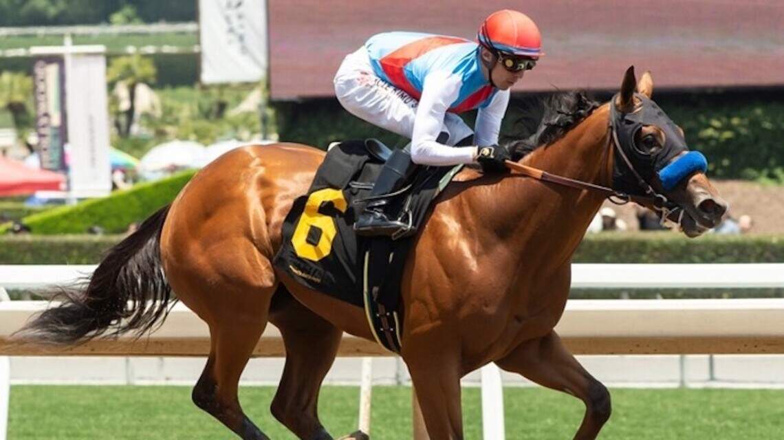 Judge rules against Baffert-trained Muth getting in Derby | Lexington ...